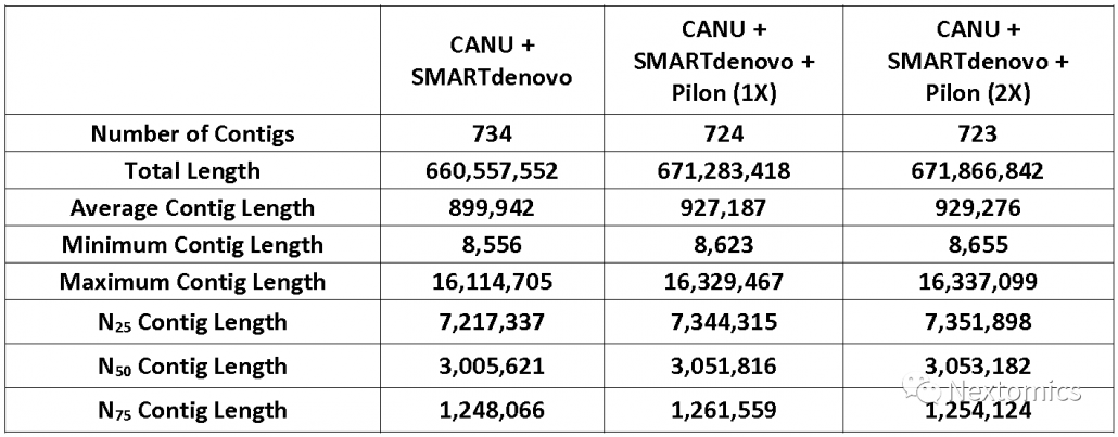 Nanopore 和 BioNano DLS 双剑合璧实现染色体级别高粱基因组 – GrandOmics|希望组