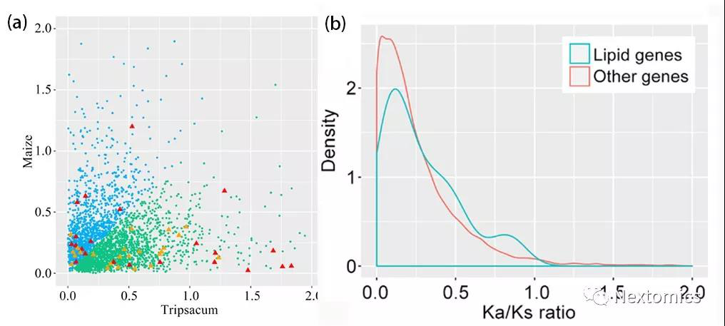三篇全长转录组Iso-seq应用案例解析：动物、植物、微生物全覆盖 – GrandOmics|希望组
