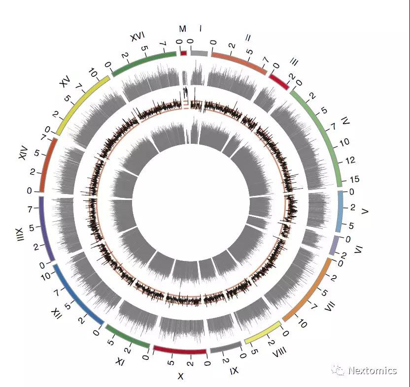 Nature methods丨基于Nanopore的direct RNA测序方法测评，你要不要来试试？ – GrandOmics|希望组