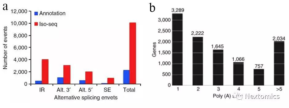 研究全长转录组？建议先看看这几篇文献 – GrandOmics|希望组