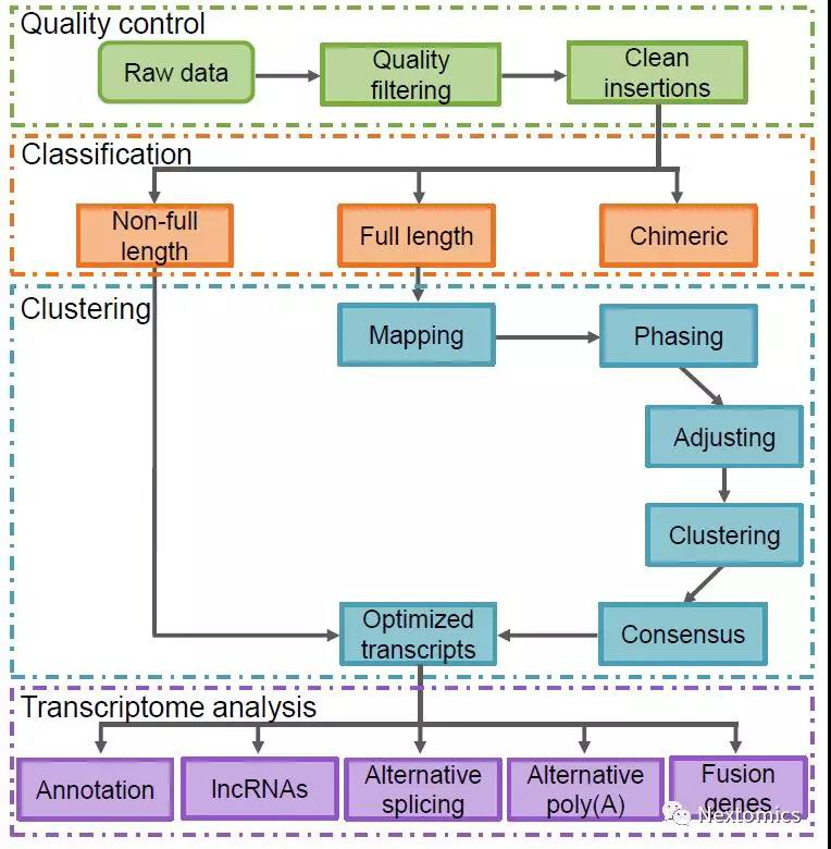 研究全长转录组？建议先看看这几篇文献 – GrandOmics|希望组