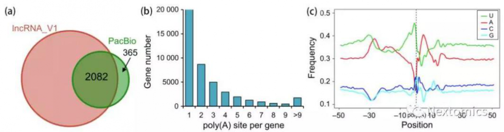 研究全长转录组？建议先看看这几篇文献 – GrandOmics|希望组
