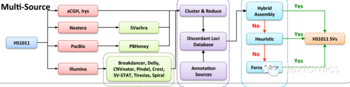 PacBio SMRT & Structure Variation（三代测序那些事儿 第八期） – GrandOmics|希望组