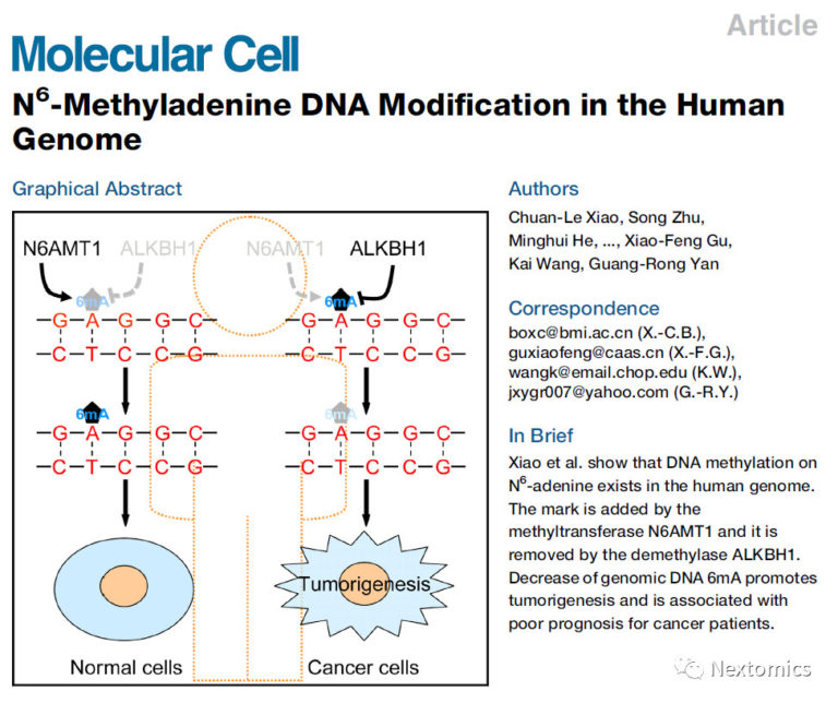 重大突破| 三代测序助力人类基因组DNA 6mA甲基化研究 – GrandOmics|希望组