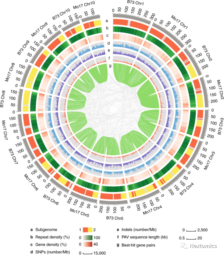 Nature Genetics | 三代测序揭示玉米种内存在广泛的基因结构变异 – GrandOmics|希望组