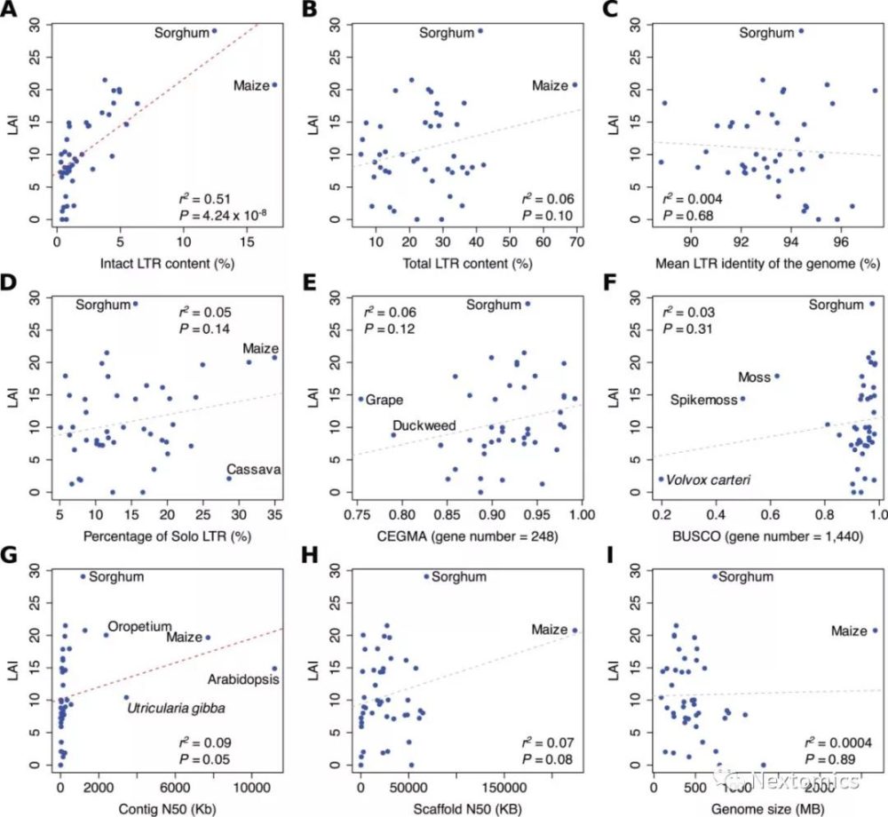 LAI——基因组质量评估新标准 – GrandOmics|希望组