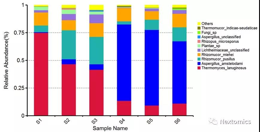 命中注定|当16S/18S/ITS扩增子邂逅PacBio – GrandOmics|希望组