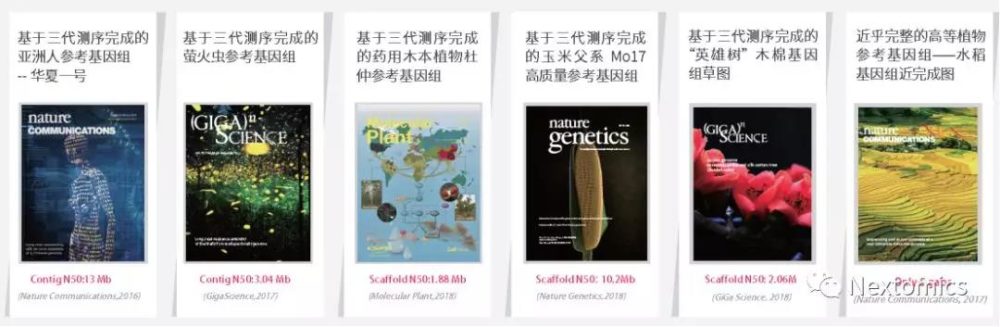 久等了！未来组携最新升级版Sequel数据前来报道 – GrandOmics|希望组