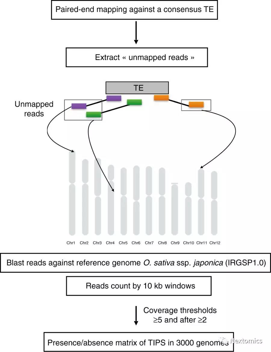 科研速递|Nature Communications最新文章连连看 – GrandOmics|希望组