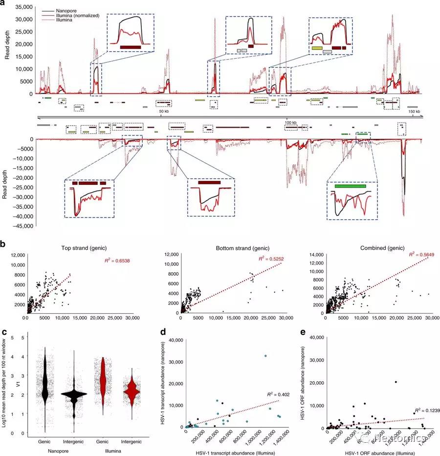科研速递|Nature Communications最新文章连连看 – GrandOmics|希望组