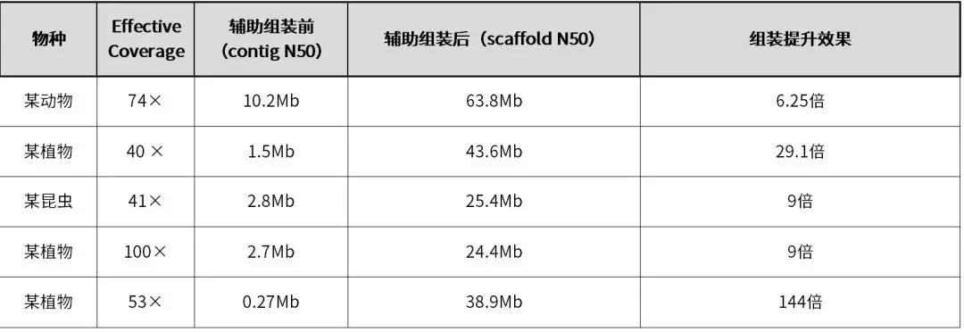 先睹为快！未来组Bionano DLS实测数据首发 – GrandOmics|希望组