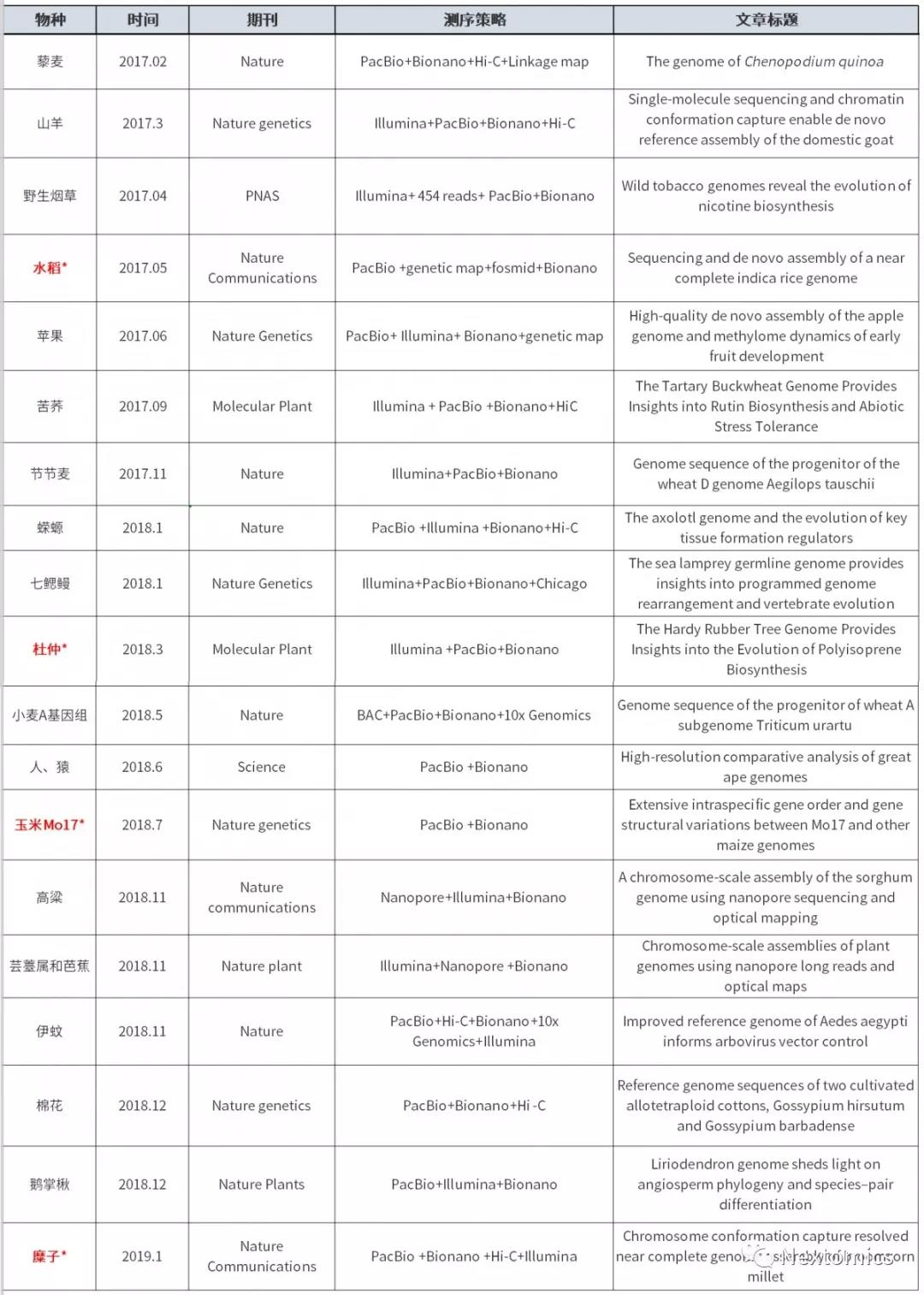 先睹为快！未来组Bionano DLS实测数据首发 – GrandOmics|希望组