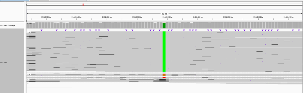 重大突破 | Nanopore R10芯片用于DMD阳性样本SNP和SV检测，解决准确度难题！ – GrandOmics|希望组