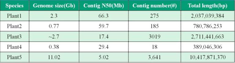 超级植物-蕨类的三代基因组攻略：ONT超长+Bionano Gen2+Hi-C+NextDenovo – GrandOmics|希望组